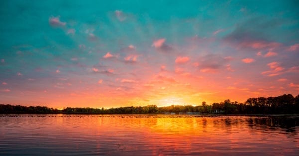 Surviving Spouse Rights Minnesota